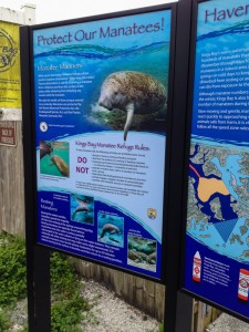 Manatee Protection Signs | Manatee Tales