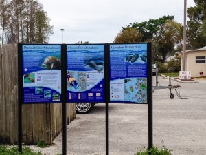Manatee Protection Signs | Manatee Tales