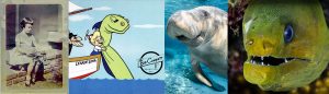 Cecil the Seasick Sea Serpent | Manatee Tales